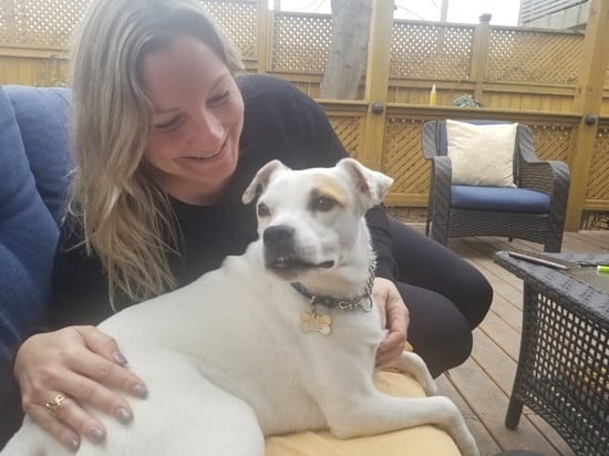 Become an Animal Protector | World Animal Protection