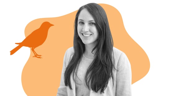 Our team | World Animal Protection