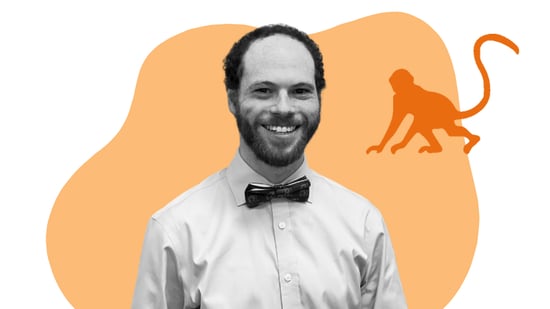 Our team | World Animal Protection