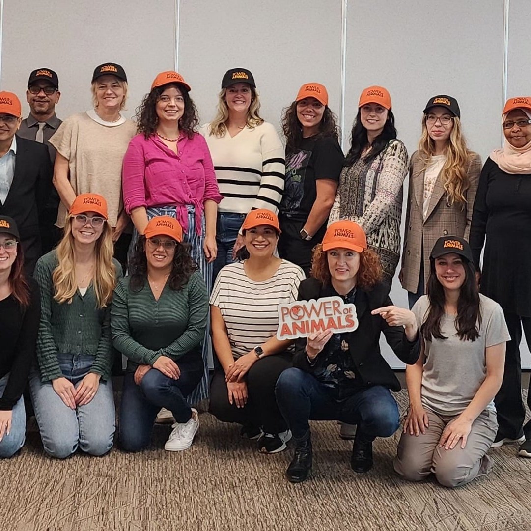 Our team | World Animal Protection