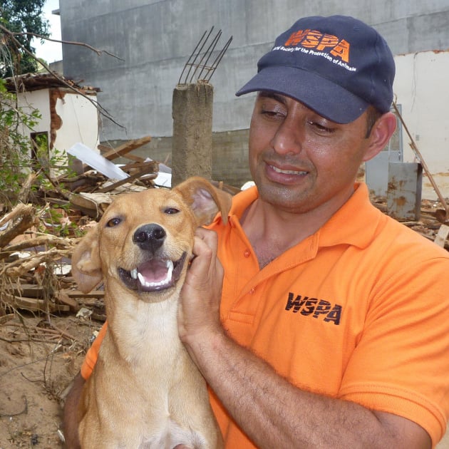 Our history | World Animal Protection