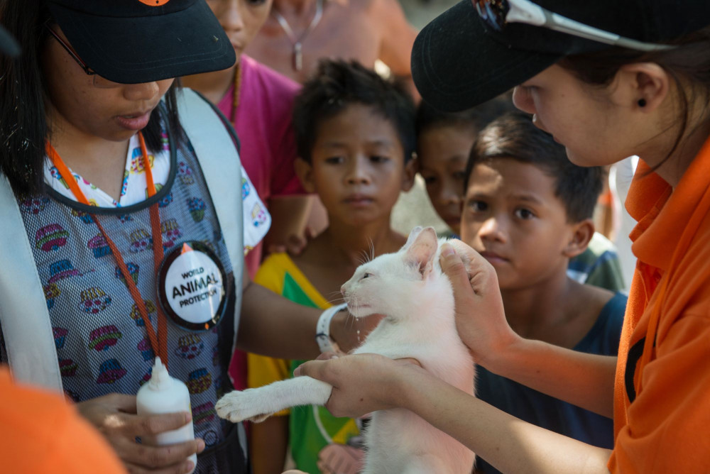 Protecting animals in the face of a changing climate