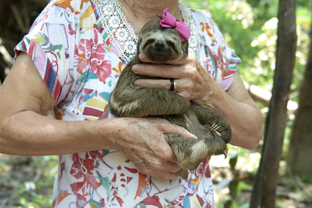 Amazonian animals suffering for selfies | [site:name]