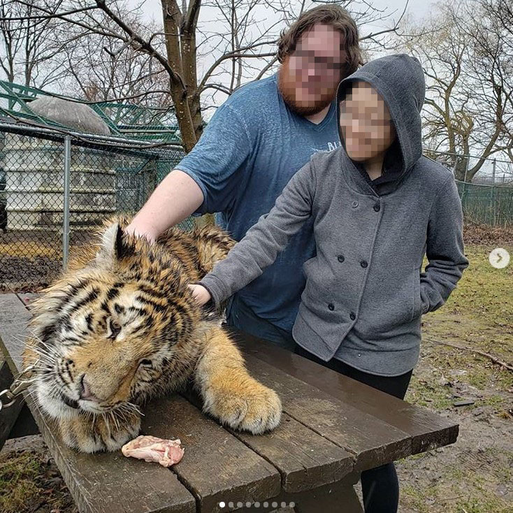 5 reasons not to touch wild animals | World Animal Protection