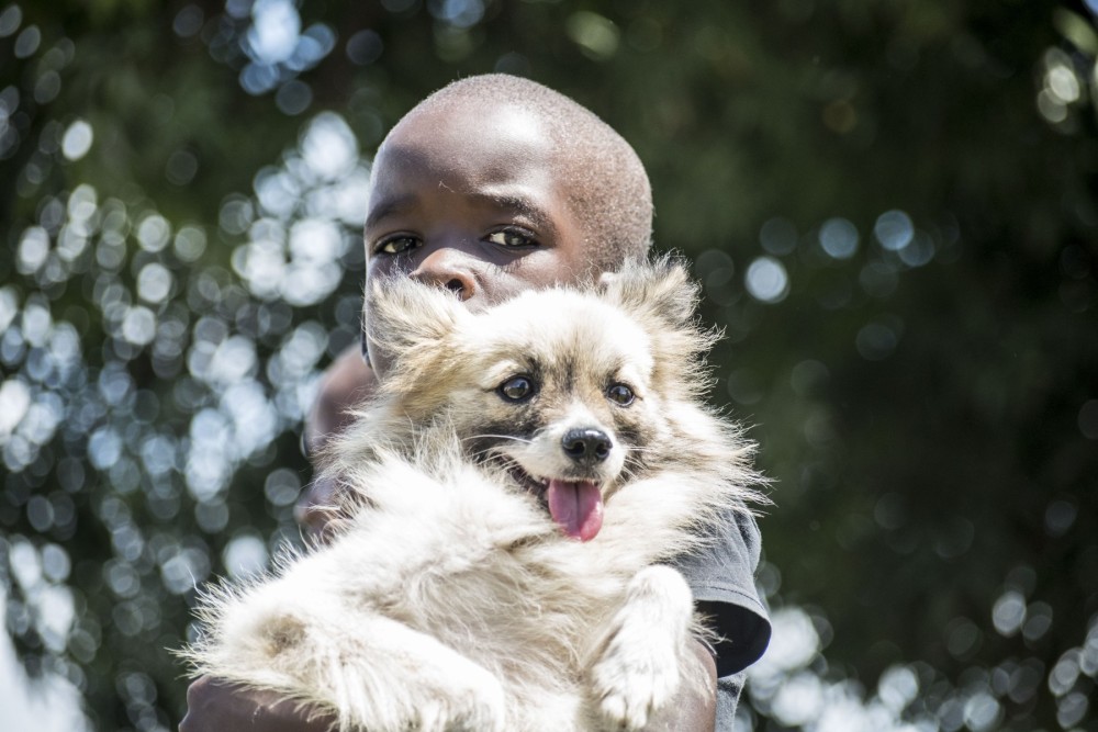 10 very good pups we've met around the world
