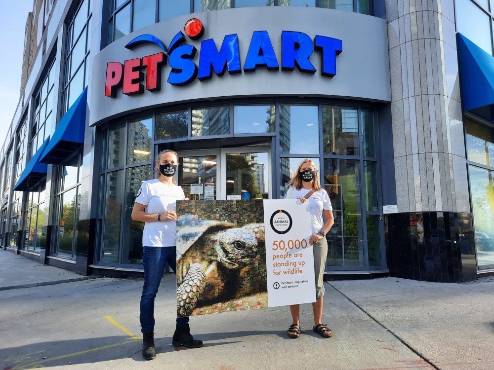 A PetSmart Campaign update - our road to change