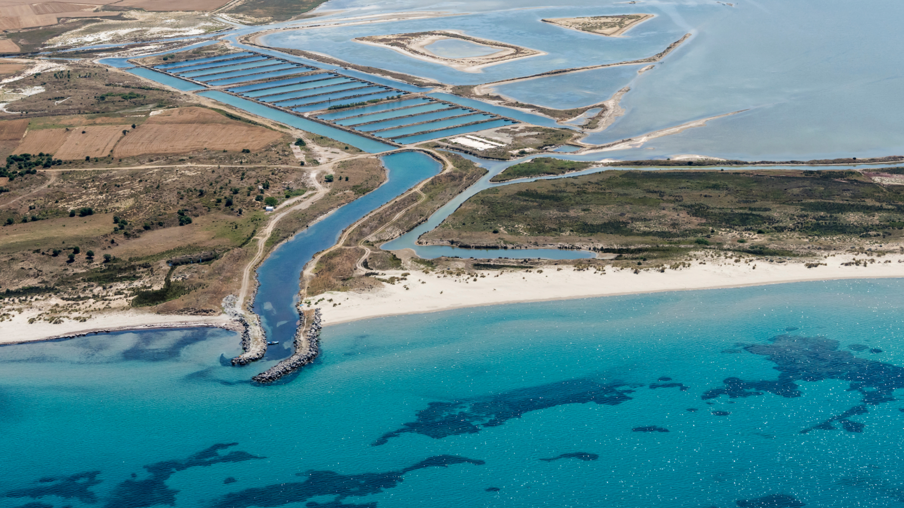 3 ways factory farming is destroying our oceans