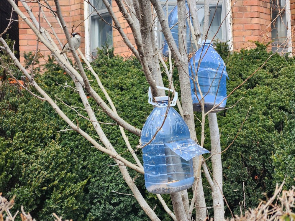 5 ways to help wildlife in spring | World Animal Protection