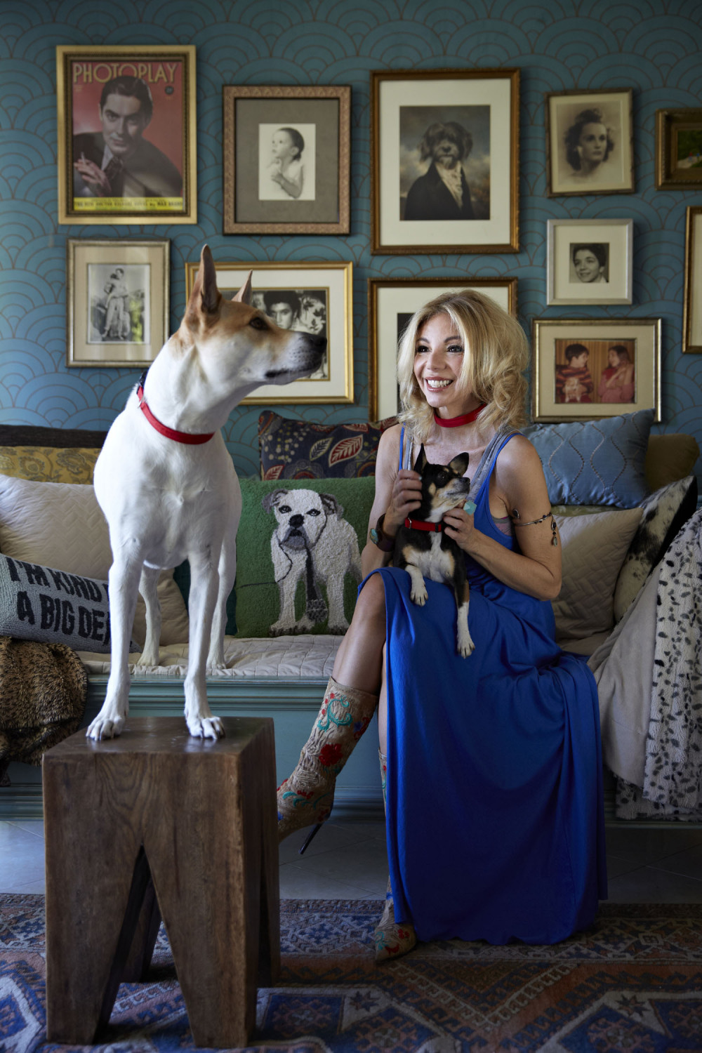 Carla Collins backs campaign to save dogs | World Animal Protection