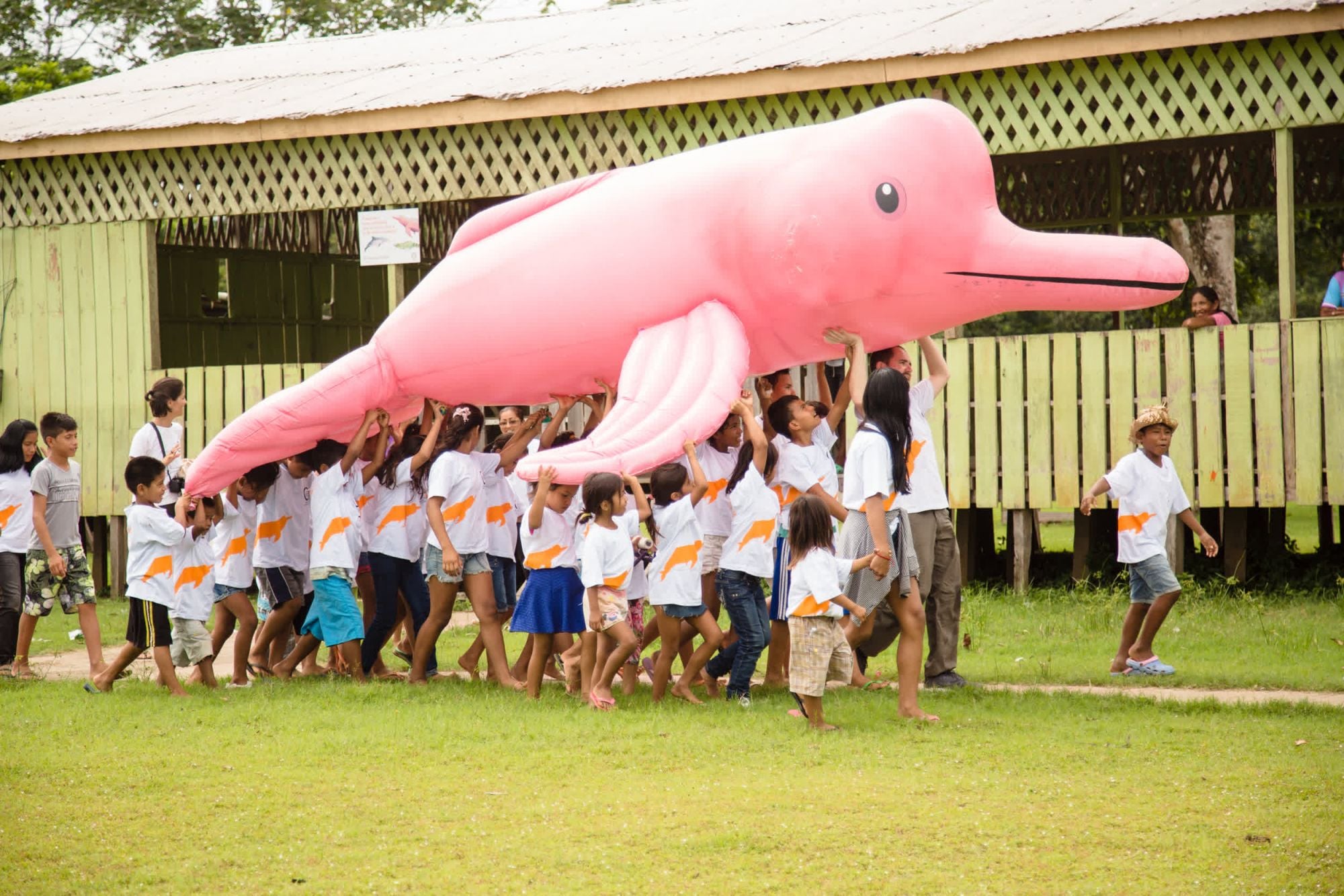 Énorme victoire pour le dauphin rose de l’Amazone