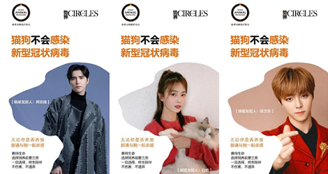 Protecting pets in China during COVID-19 | World Animal Protection