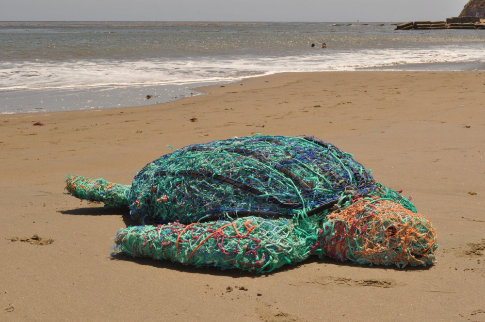 Plastic leatherback shows cost of ocean pollution| [site:name]