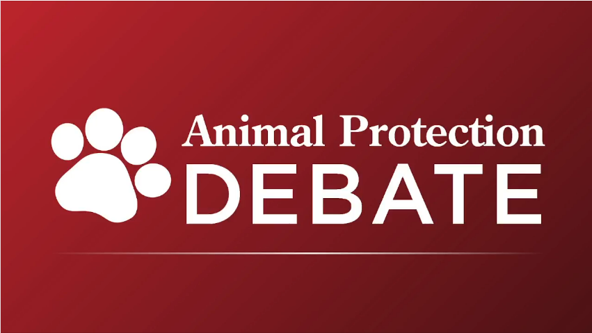 Watch: National animal protection debate